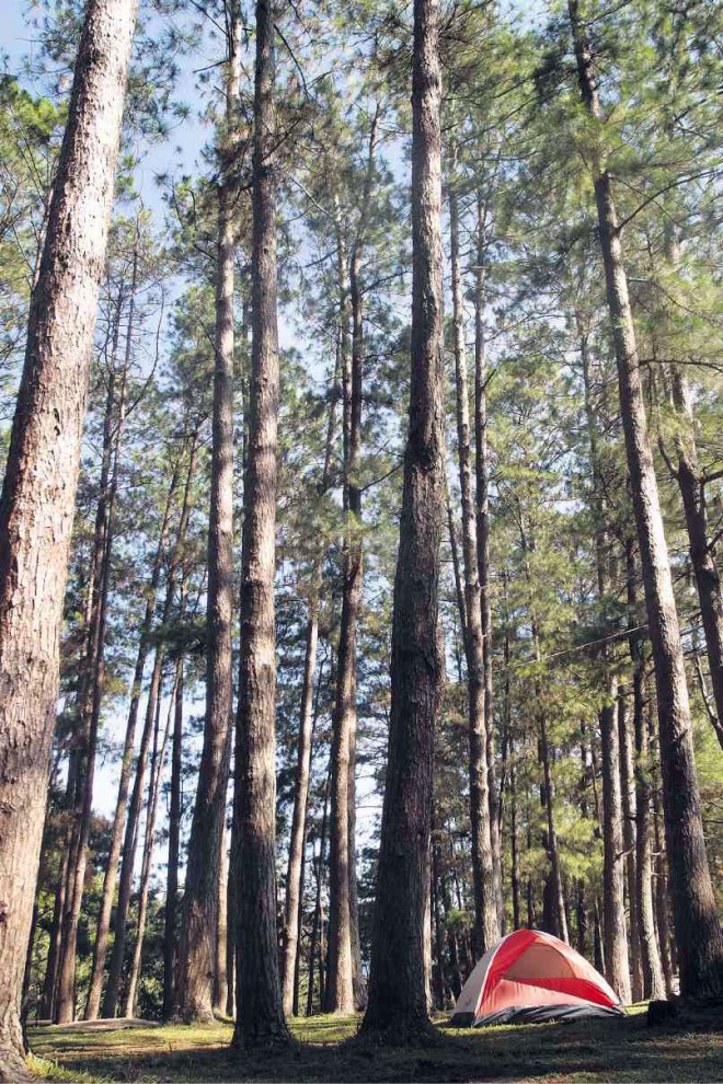 Pine trees, rice terraces, veggies in Iloilo’s Baguio | Lifestyle.INQ ...