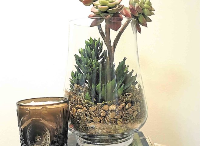 Creating your own dry terrarium | Lifestyle.INQ