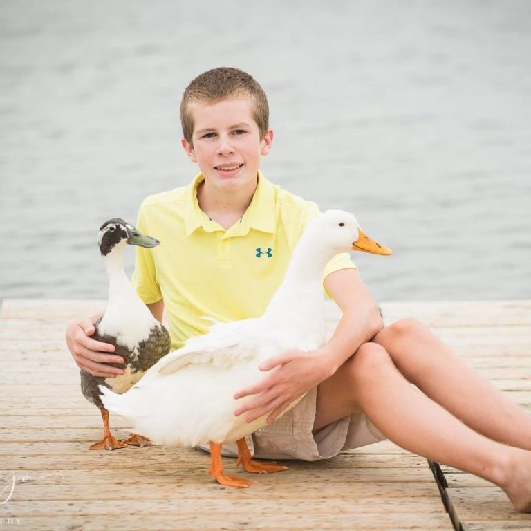 Autistic boy allowed by town to keep therapy ducks | Lifestyle.INQ
