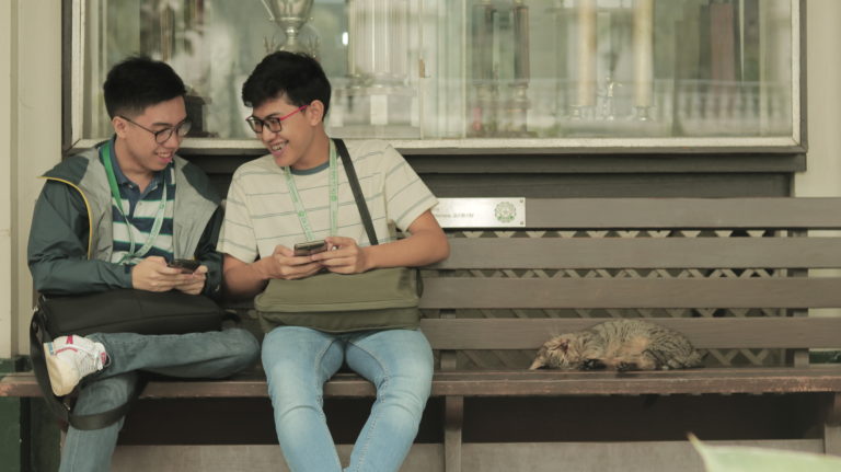 DLSU-Pusa: How De La Salle looks after stray cats | Lifestyle.INQ ...