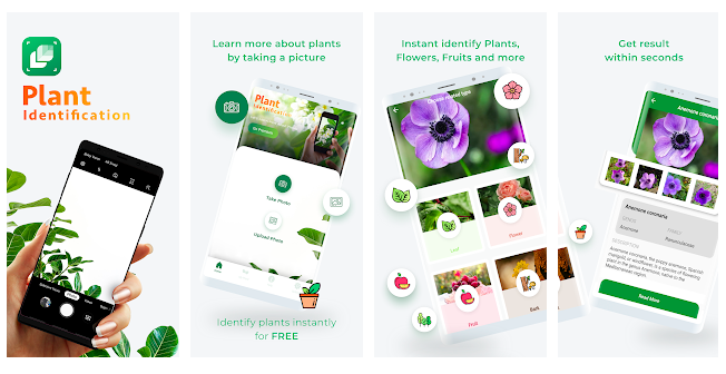 DISCOVER: 5 Must-Have Apps for Plant Parents | Lifestyle.INQ ...
