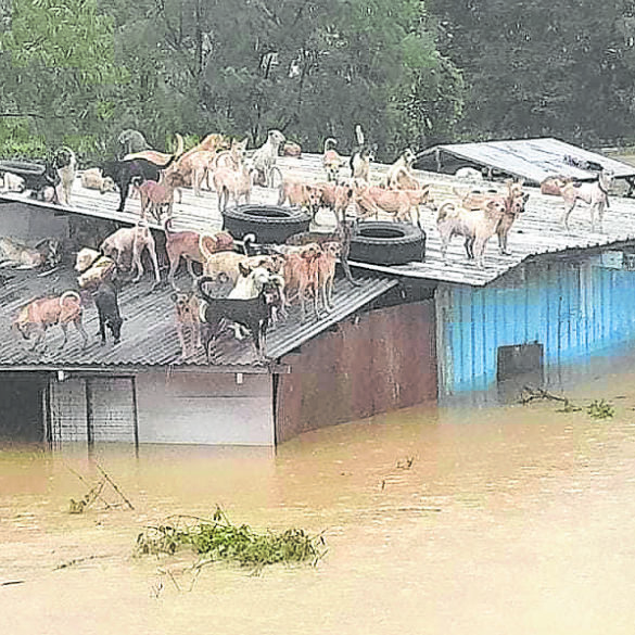 Fr. Manuel P. Maramba’s legacy of Filipino liturgical music | Inquirer ...