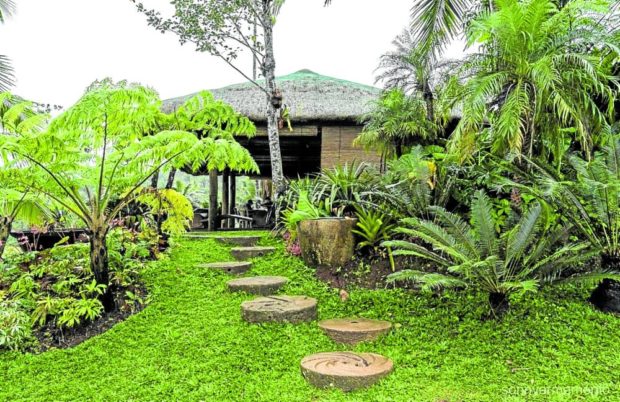 An oasis in Lucban hidden amid the forests | Lifestyle.INQ | Lifestyle.INQ