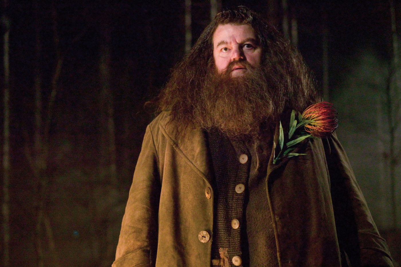 Robbie Coltrane, 'Hagrid' in Harry Potter film franchise, dies at 72 ...