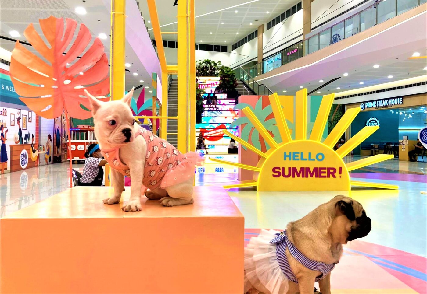 It’s summertime at SM Supermalls | Lifestyle.INQ