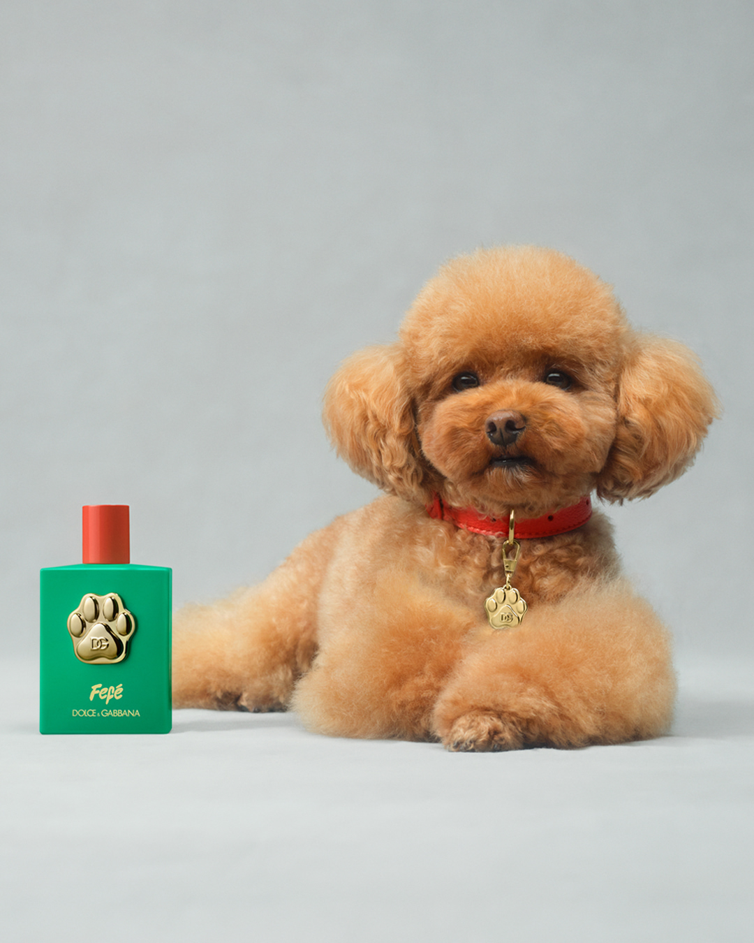 Poppers, pretzel, and a poodle inspired these new perfumes | Lifestyle ...