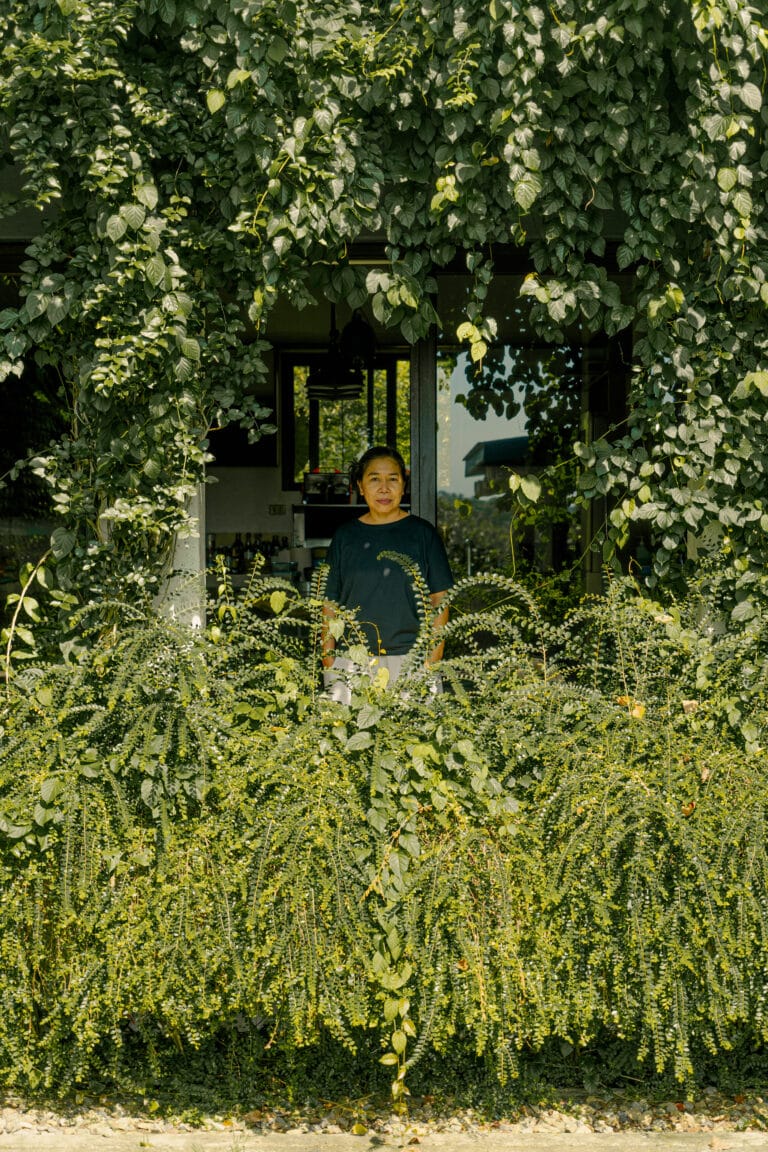 Nature’s poetics in the art of Geraldine Javier | Lifestyle.INQ