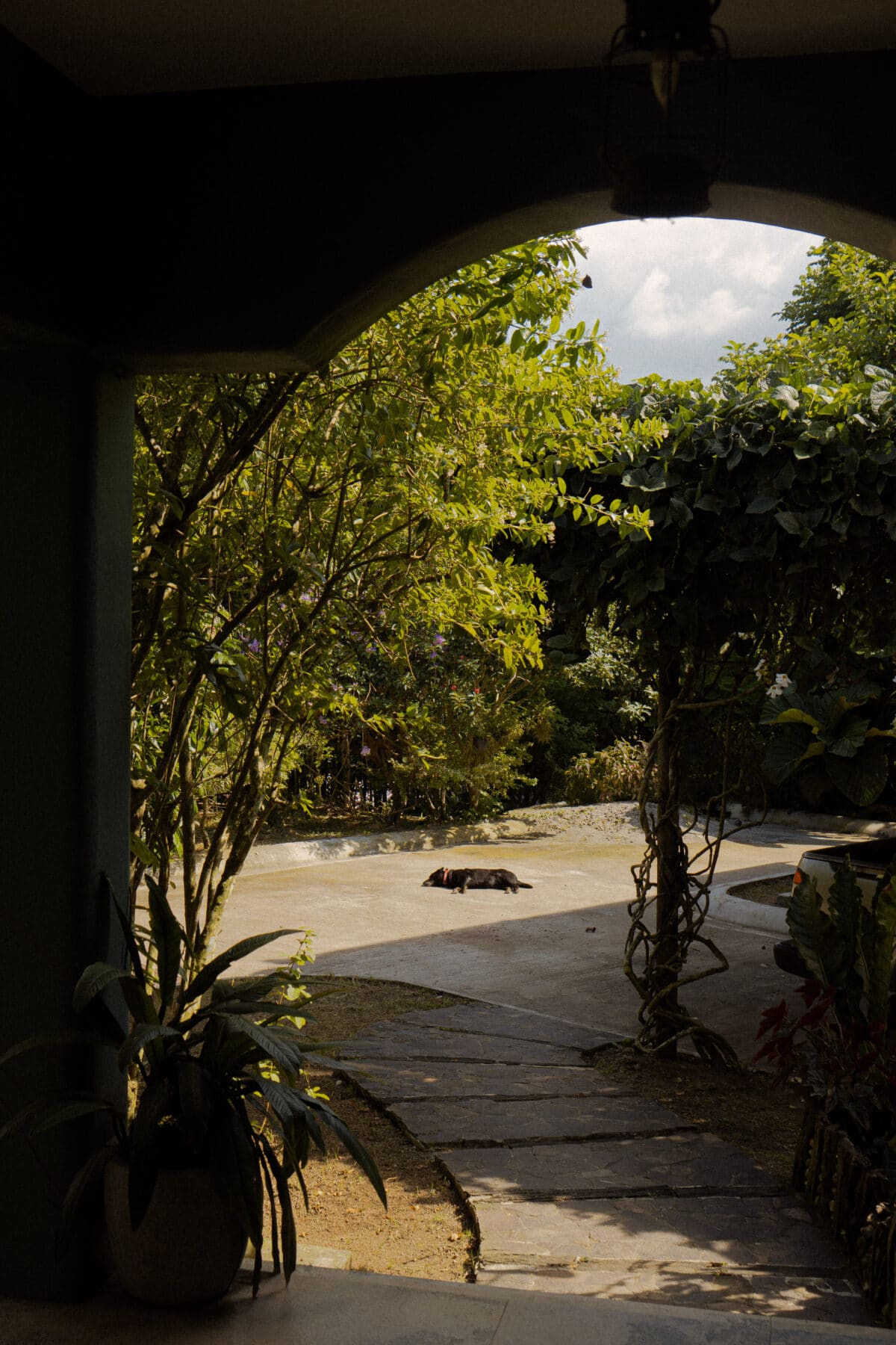 Nature’s poetics in the art of Geraldine Javier