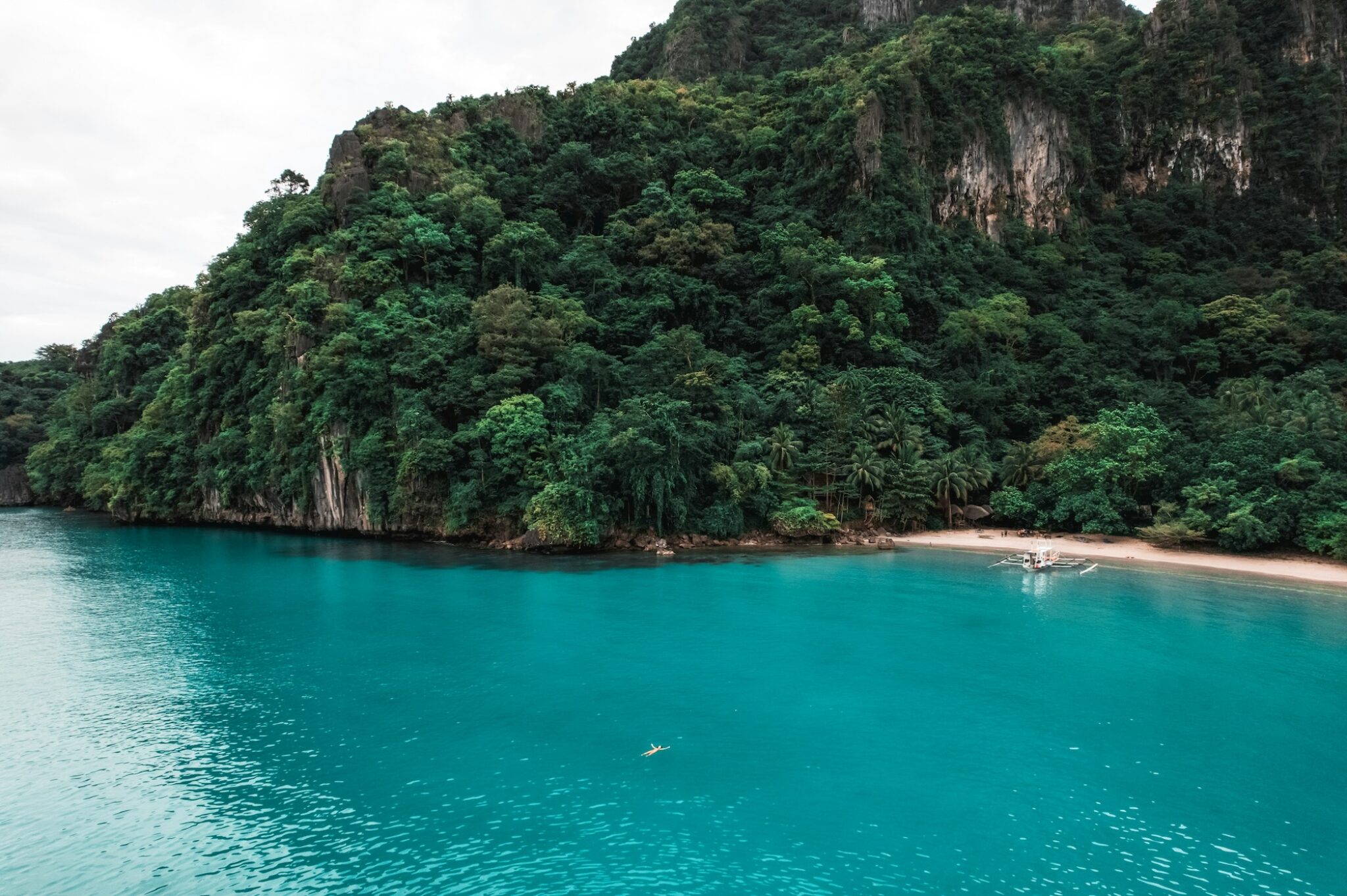 Just looking at images of nature can relieve pain, study finds ...