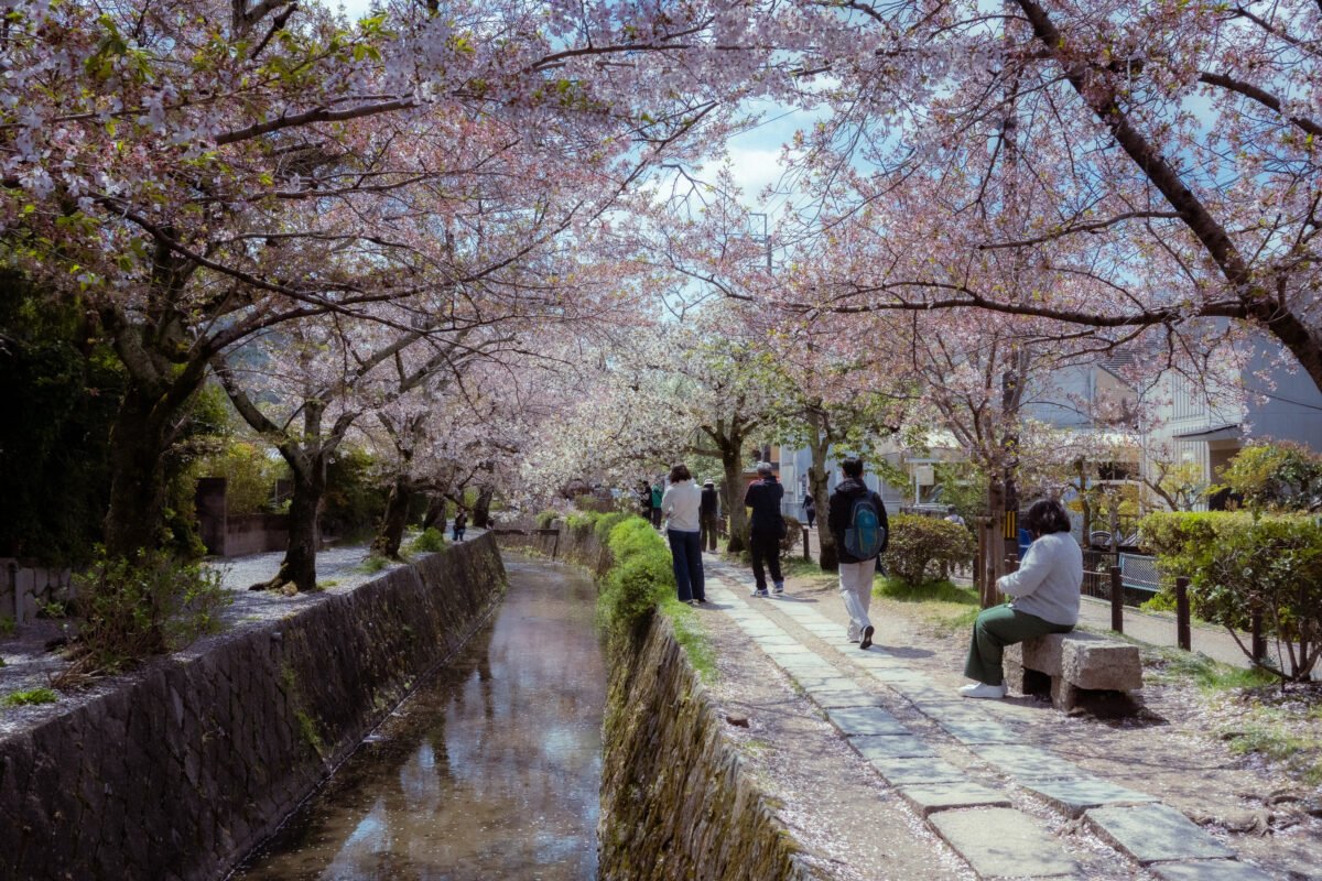 ‘Binallay’: Lesser-known ‘suman’ is much loved in Isabela | Lifestyle.INQ
