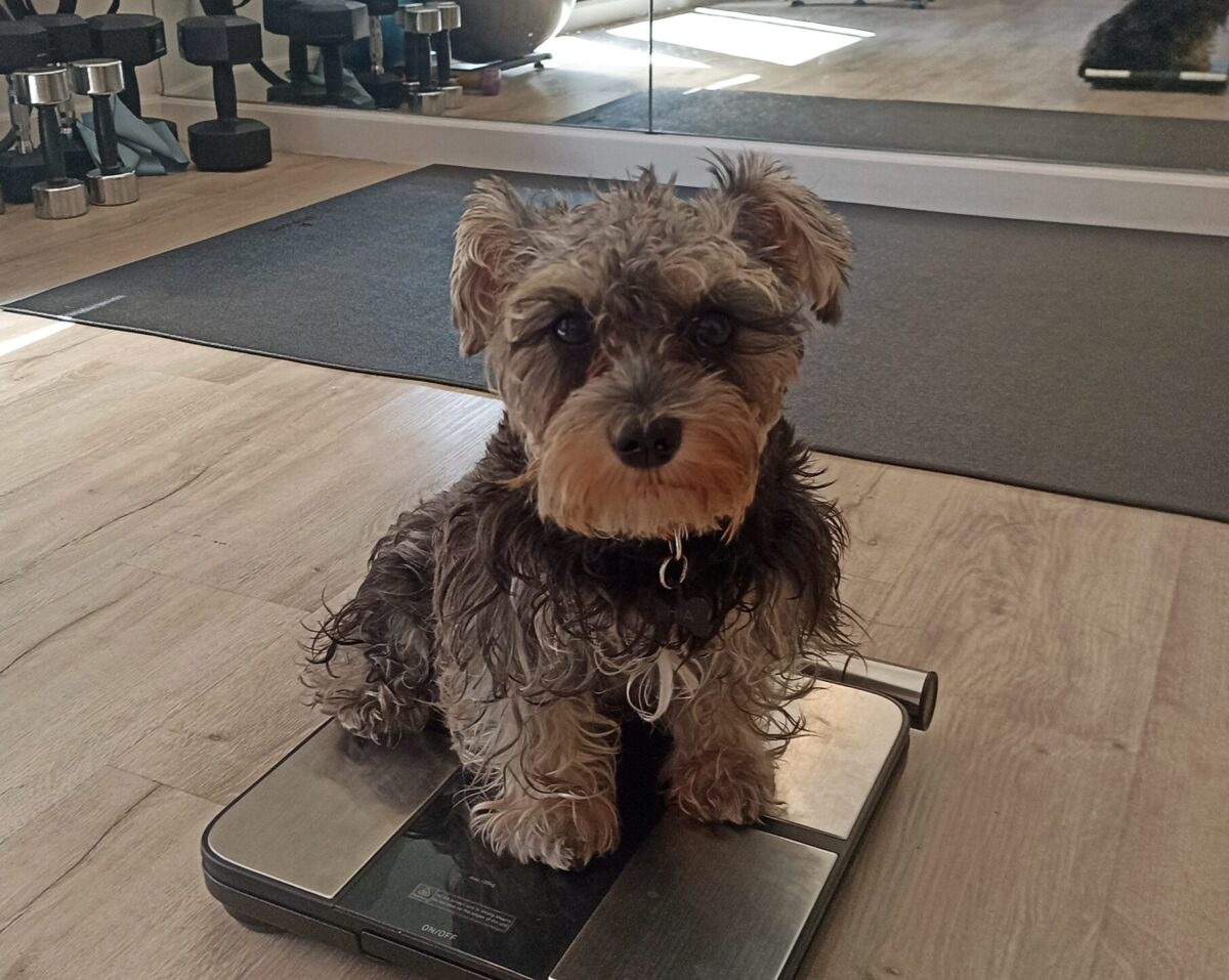 Fernando Canon: Revolutionary, classical guitarist, inventor, chess ...