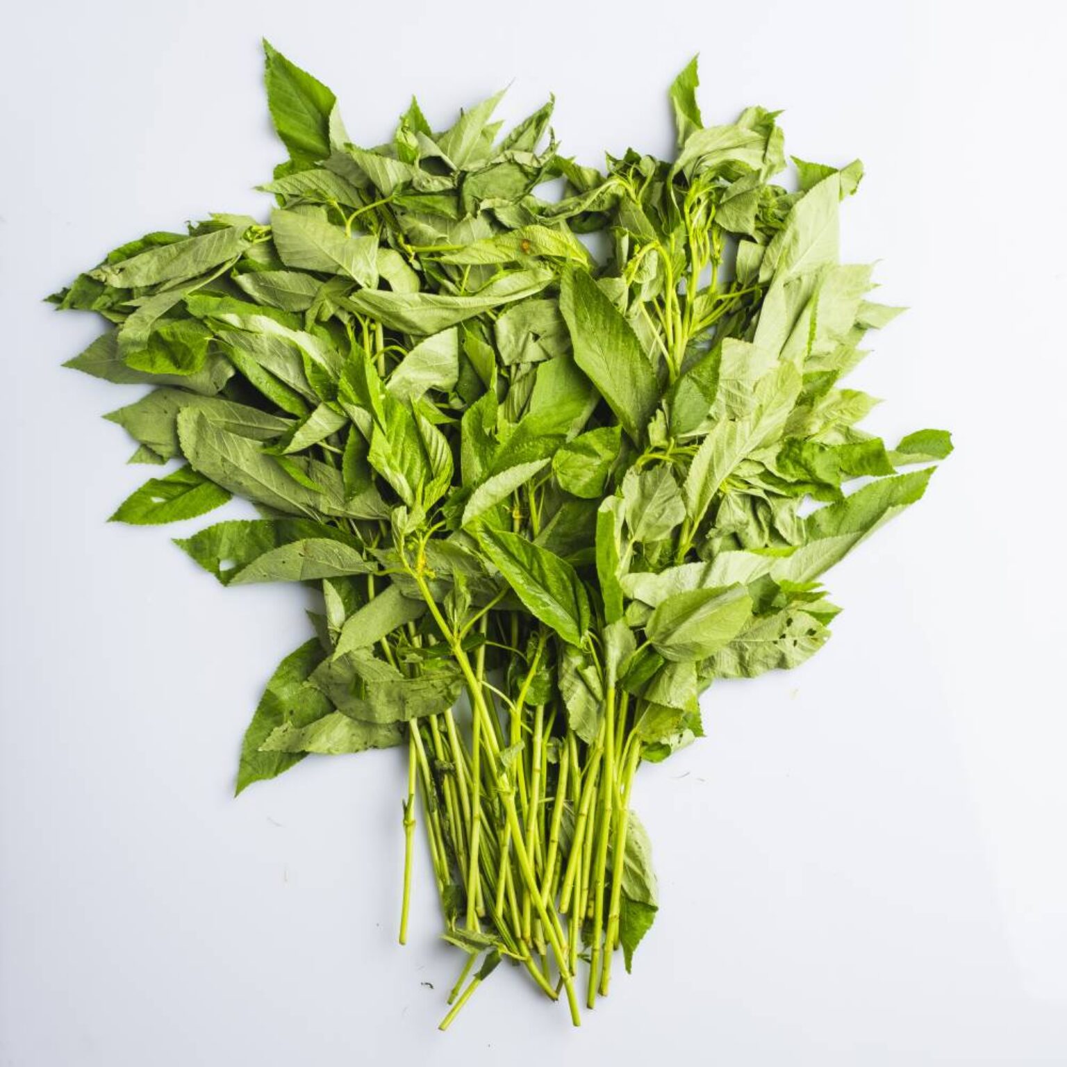 Local leafies: 3 Filipino vegetables you need to know about | Lifestyle.INQ