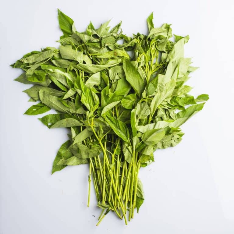 Local leafies: 3 Filipino vegetables you need to know about | Lifestyle.INQ