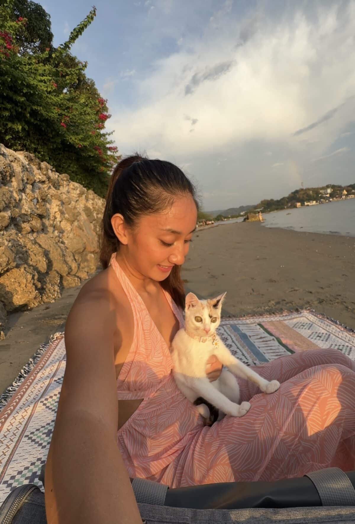 Local ‘catfluencers’ on the rise of feline content creation | Lifestyle ...